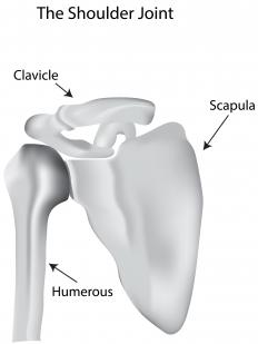 What Is a Clavicle Piercing? (with pictures)